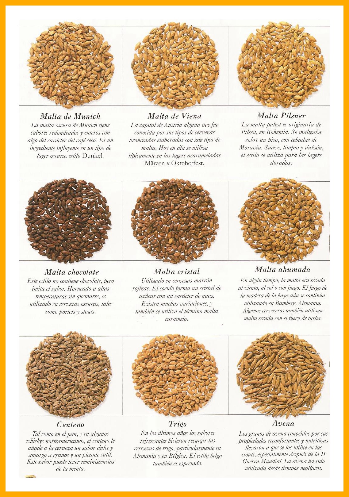 Tipos de cebada ideal para preparar cerveza | CERVEZAPASION