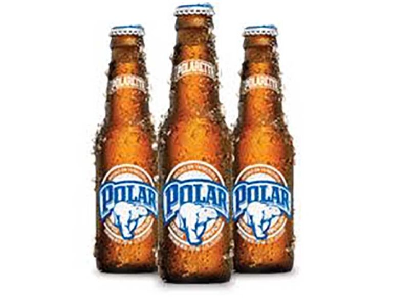 Tipos de cerveza Polar negra: Una guía imprescindible | CERVEZAPASION