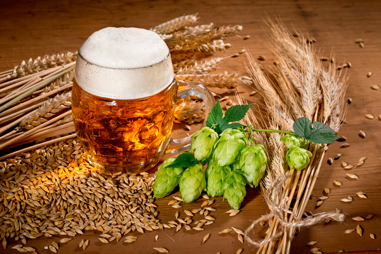 Todo lo que debes saber sobre la cerveza maltosa | CERVEZAPASION